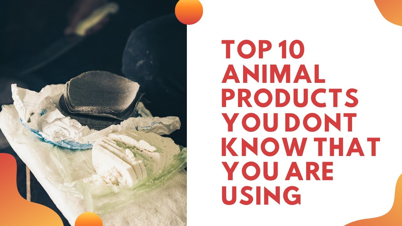 Top 10 Animal products You Dont know that you are Using - YouTube