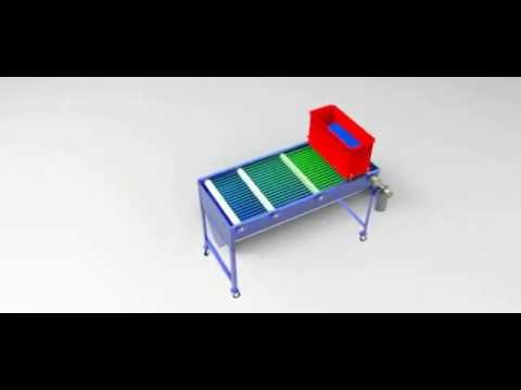 Olive Sorting Machine - YouTube