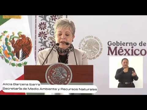 Alicia Bárcena, Secretaria de Medio Ambiente y Recursos Naturales y la Sierra Gorda - YouTube