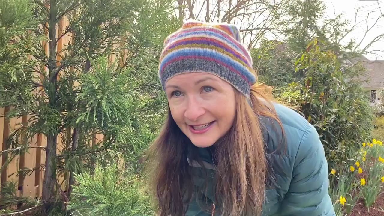 In The Garden With Mrs. Ferrara - YouTube