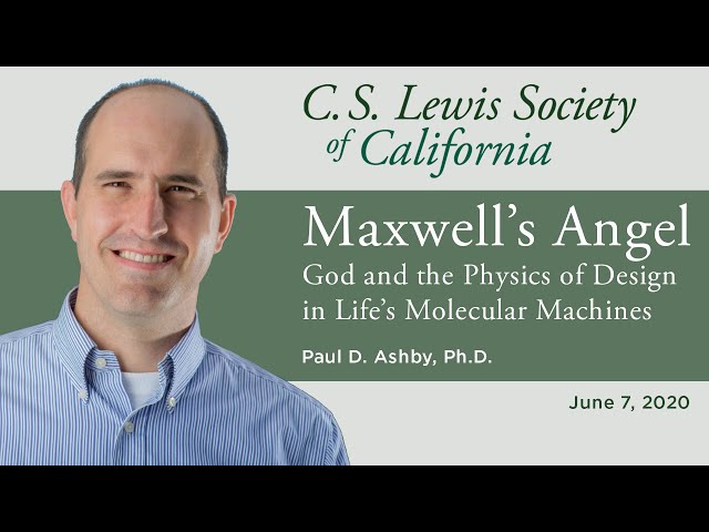 Maxwell S Angels Video 36 Elsa Maxwell Stock Videos, Footage, & 4K