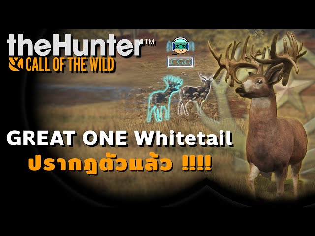 Great One Whitetail ปรากฎตัวแล้ว !!!! | theHunter: Call of the Wild
