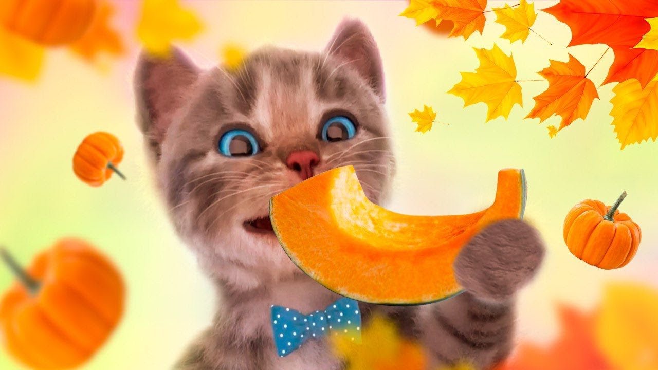 Little Kitten Preschool Adventure Educational Games - Play Fun Cute ...