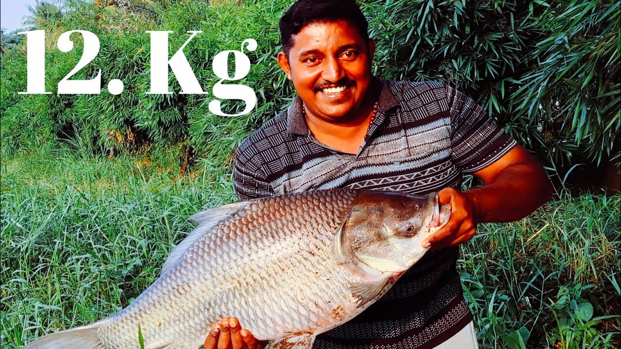 12 Kg..MONSTER CATLA FISH CATCHING IN PAMBA RIVER..ഈ വർഷം നമ്മ ...