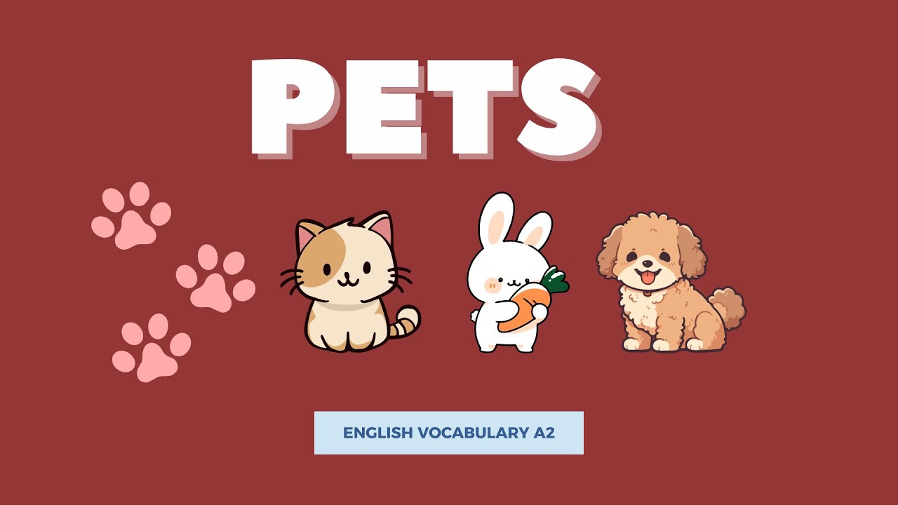 Meet My Pets! | English Vocabulary for Beginners - YouTube