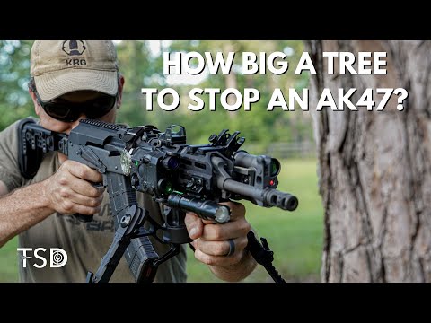 How big of a tree can an AK47 penetrate??? Cover vs concealment