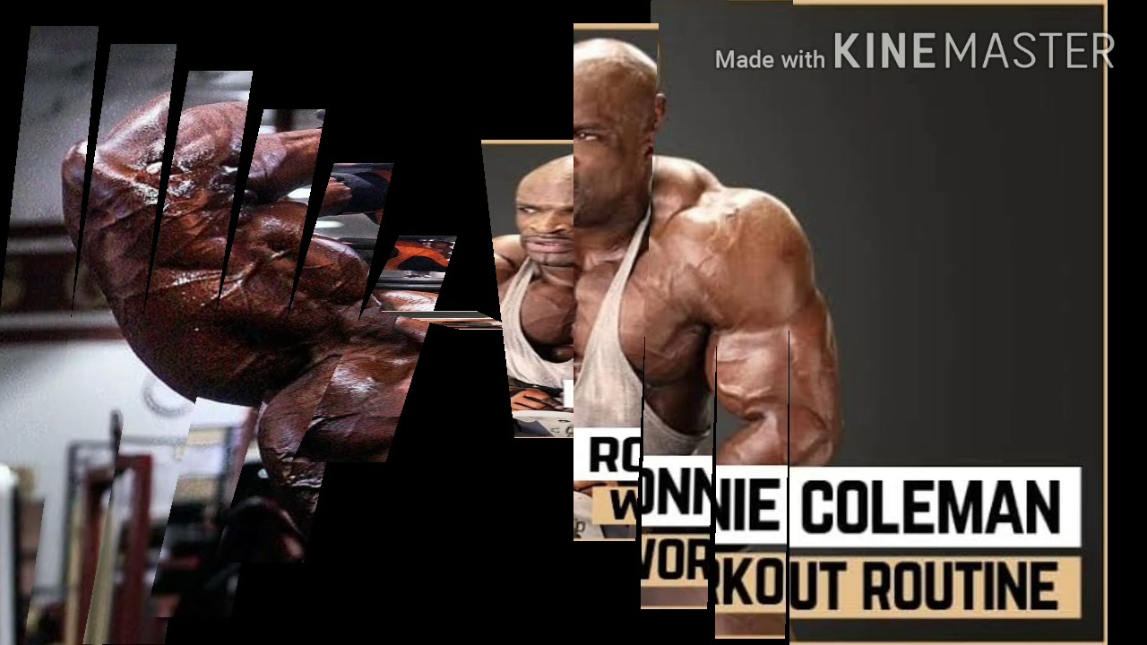 The best bodybuilder - YouTube