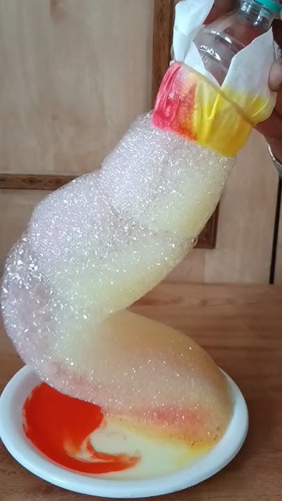 FUN WITH SCIENCE#youtubeshorts#experiment#scienceexperiment#shorts#viral - YouTube