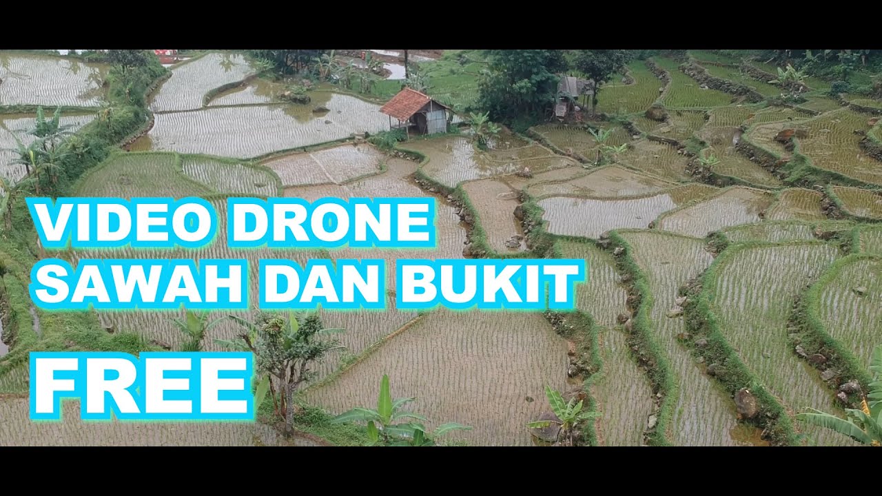 VIDEO DRONE SAWAH DAN BUKIT GRATIS | FOOTAGE FREE - YouTube