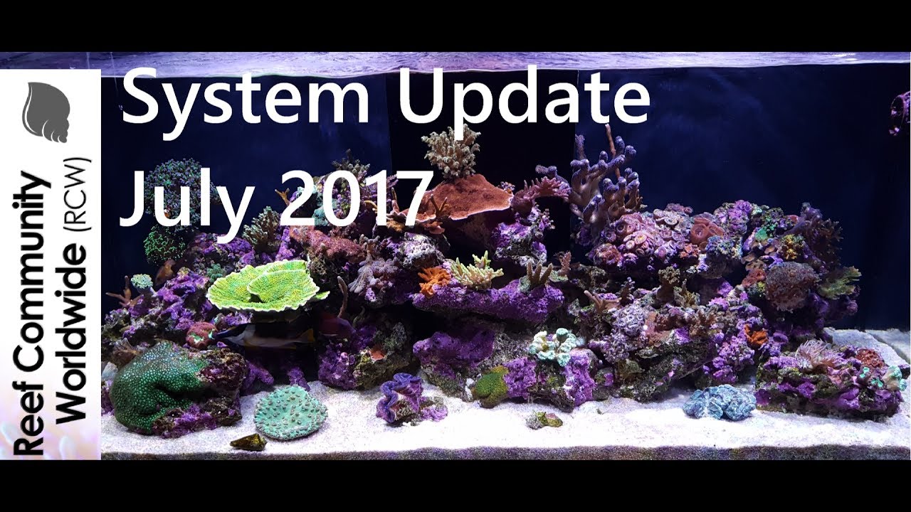 Reefer 350 Running Triton and Miracle Mud - YouTube