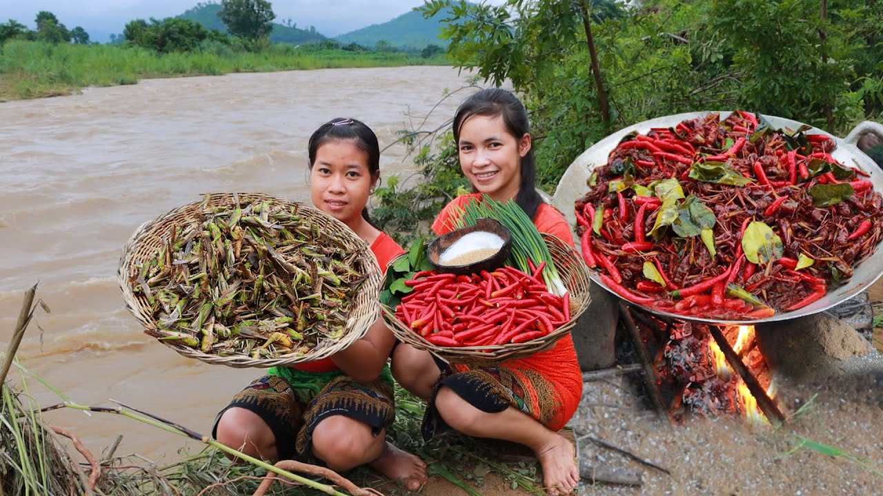 Catches grasshopper and cooking recipe | How to cook Grasshopper chili ...