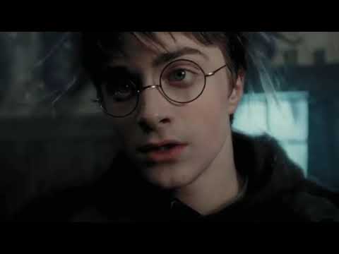 Harry Potter | Can't Hold Us