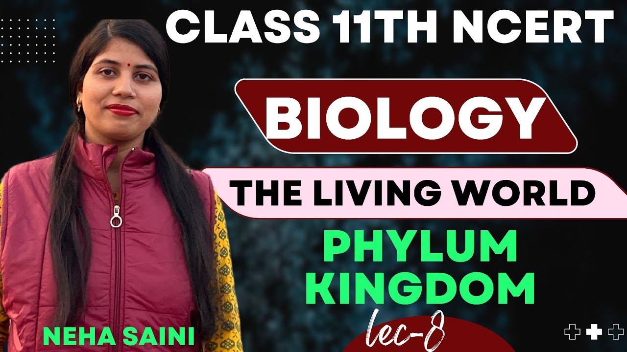 The Living World, , taxonomic categories: order class phylum kingdom ...