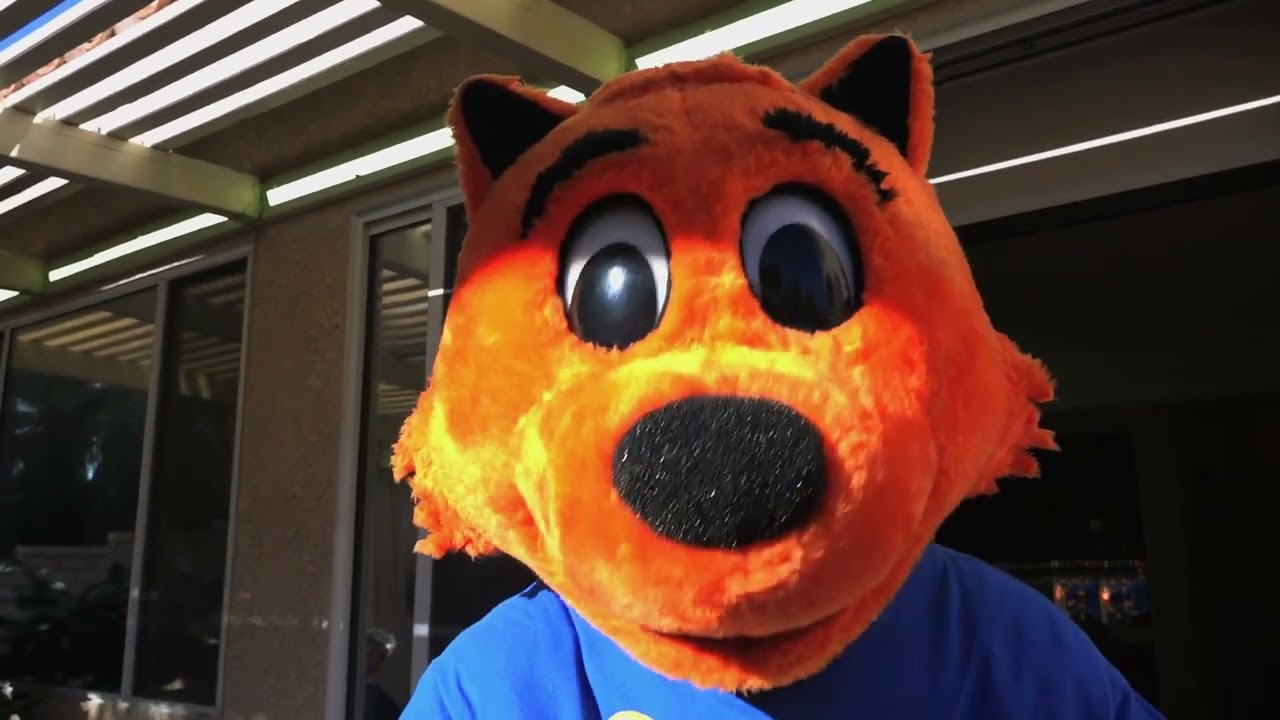 "Cool Cat Saves the Kids - Director's Cut" Kung Fu #1 Scene - YouTube
