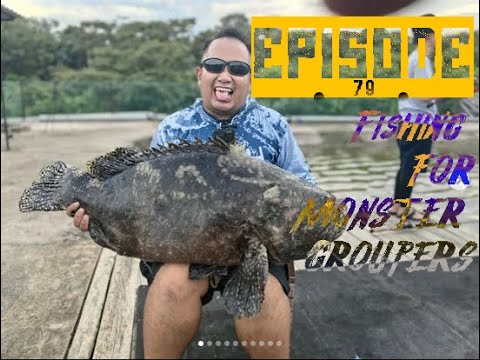 Fishing For MONSTER GROUPERS In Johor Bahru Malaysia - Episode 79 - YouTube
