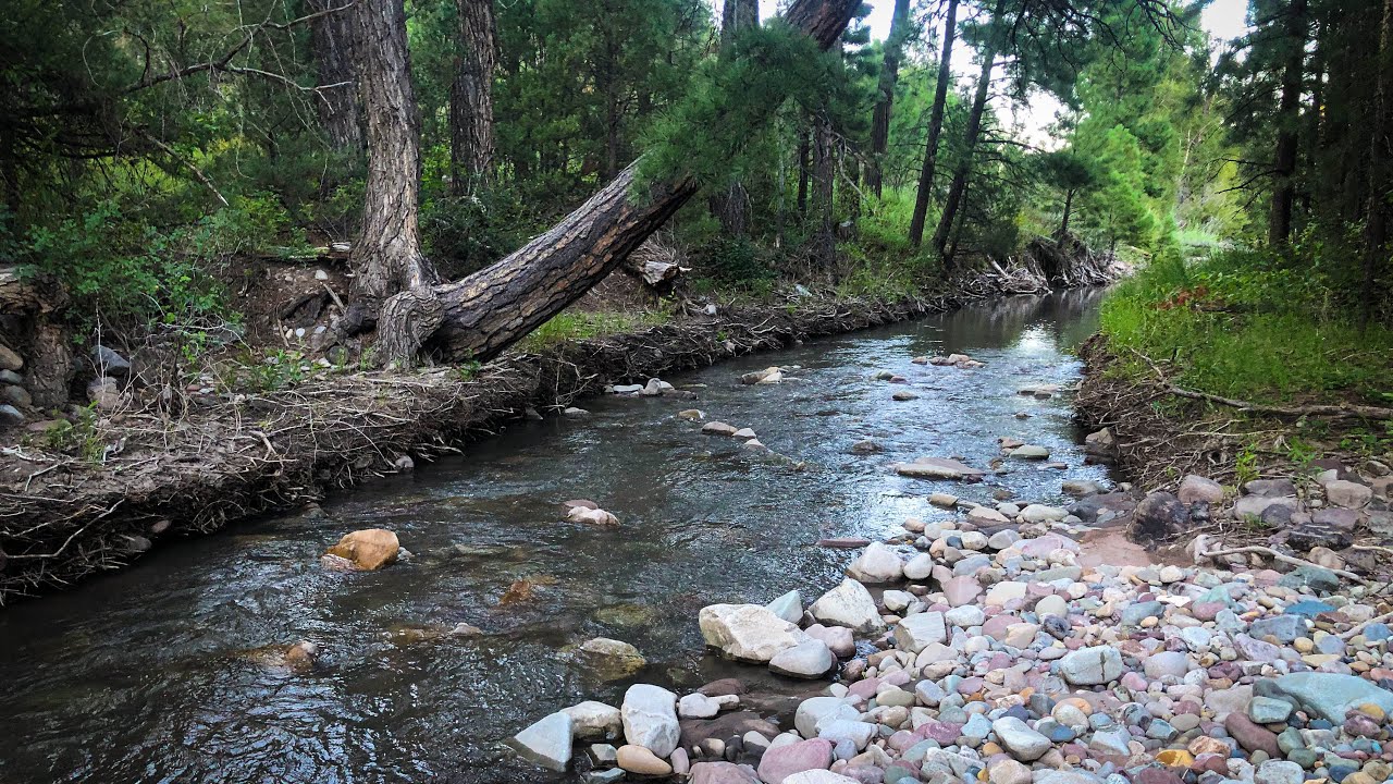 Quick Rock Hunt - YouTube