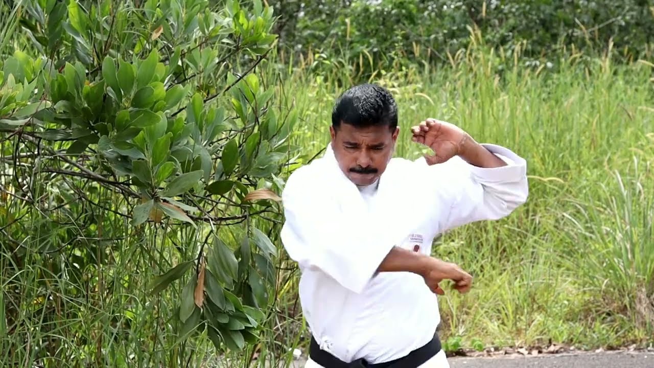SHUTO HIZO UCHI | KNIFE - HAND STRIKE TO SPLEEN | KARATE | MALAYALAM ...
