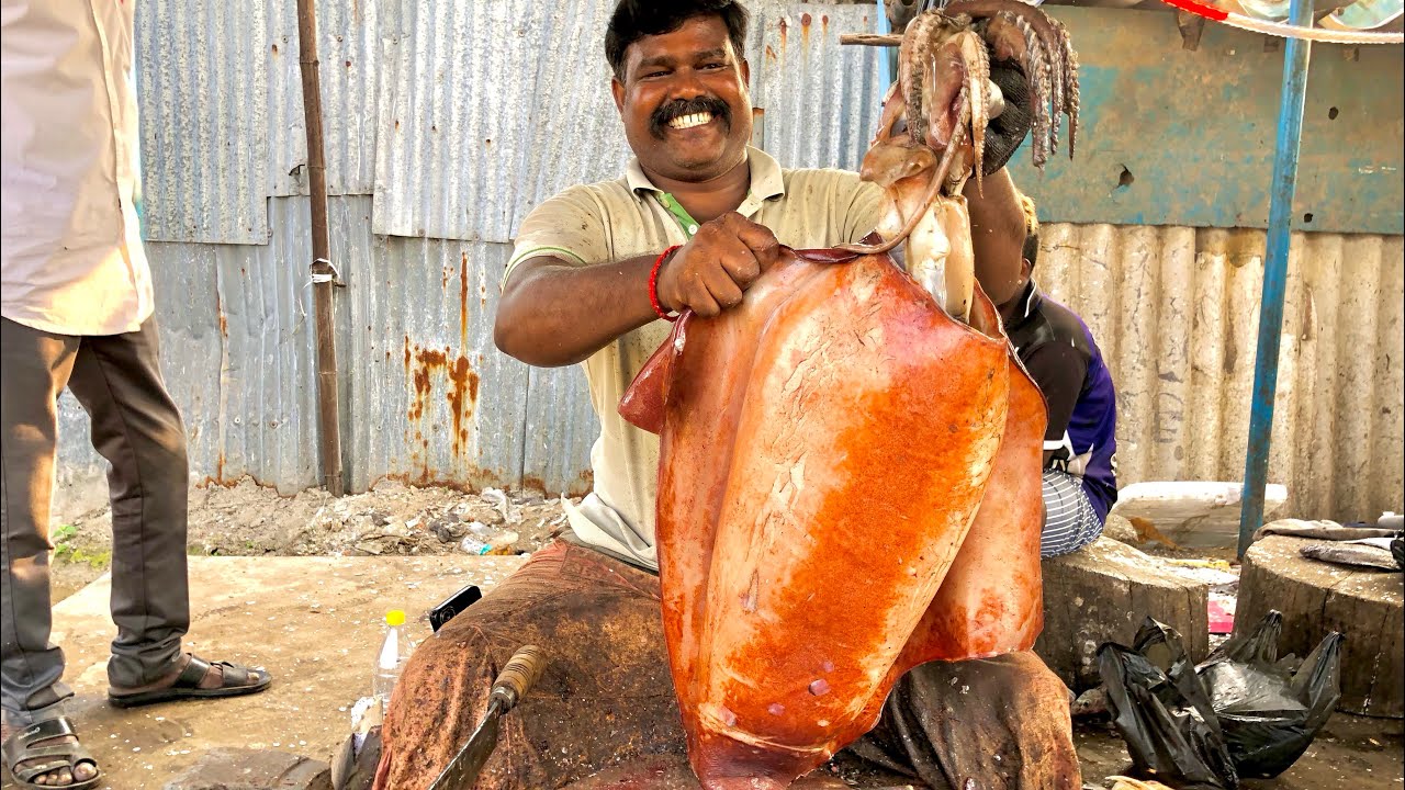 💥KASIMEDU DURAI BIG😱ORANGE SQUID 🦑 CUTTING VIDEO/ kING FISH CUTTING/🔪# ...