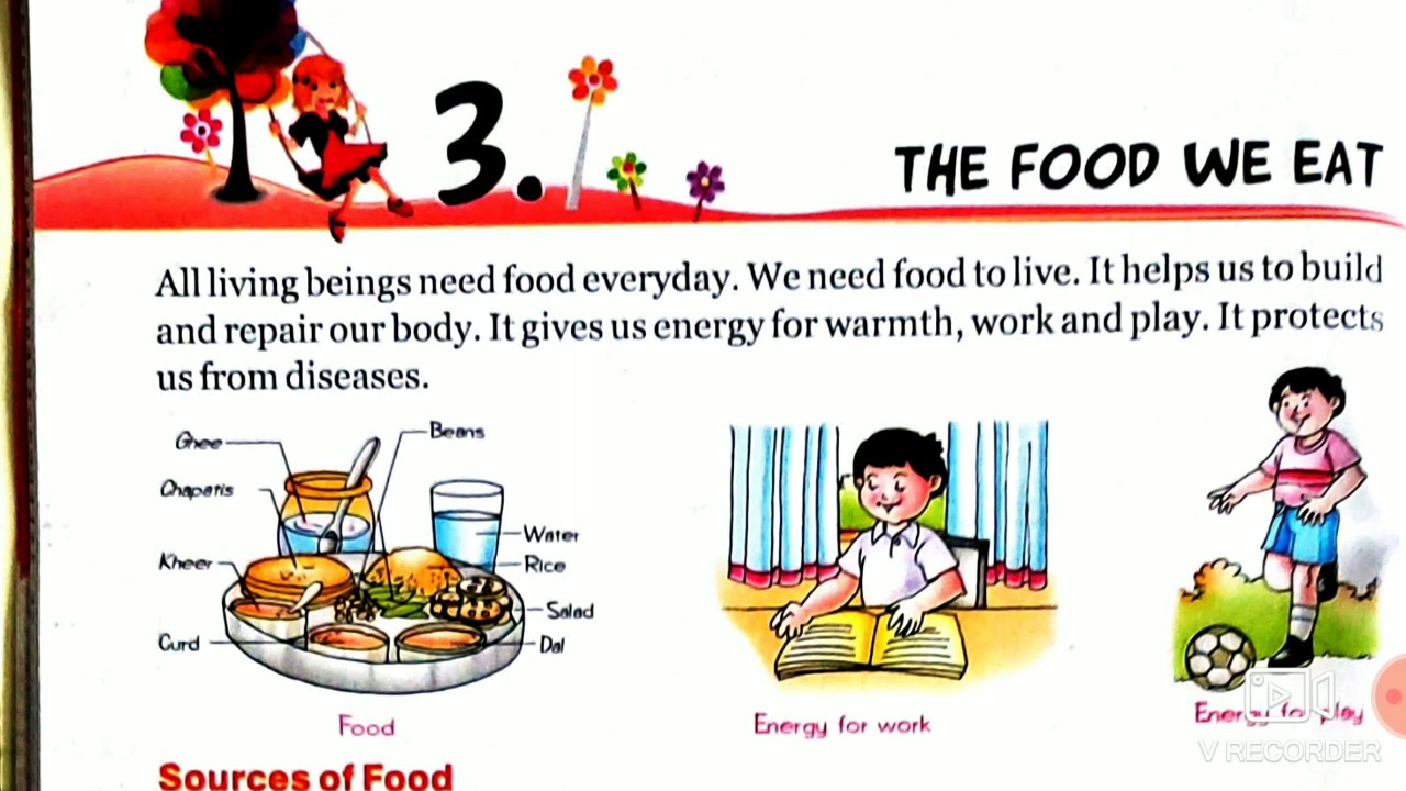 Class - 4 || Science || The food we eat || By Amit Sir || - YouTube
