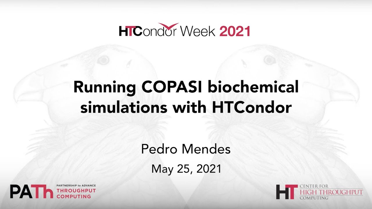 Running COPASI biochemical simulations with HTCondor - YouTube