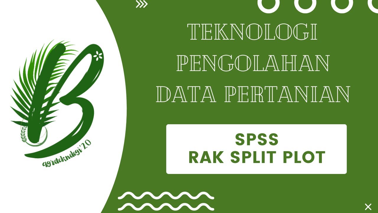 TPDP - SPSS RAK POLA SPLIT PLOT - YouTube