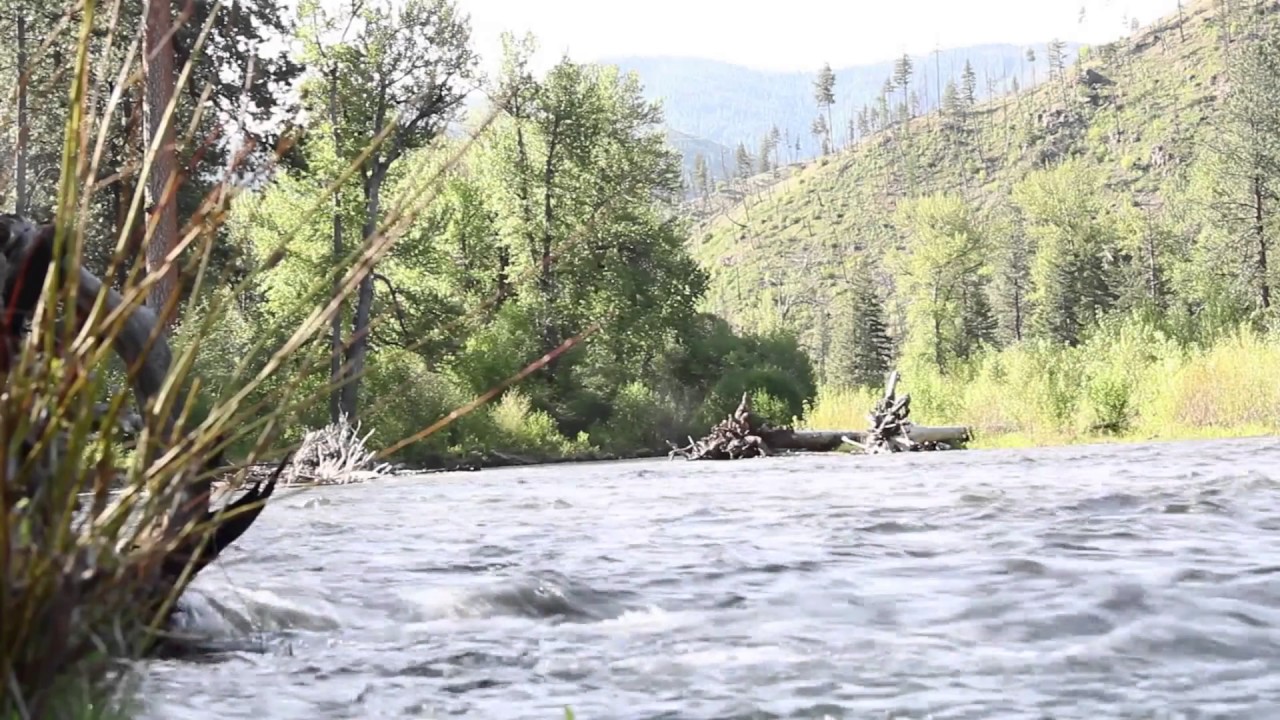 [10 Hours] Fish Creek State Park, Montana - Video & Soundscape [1080HD ...