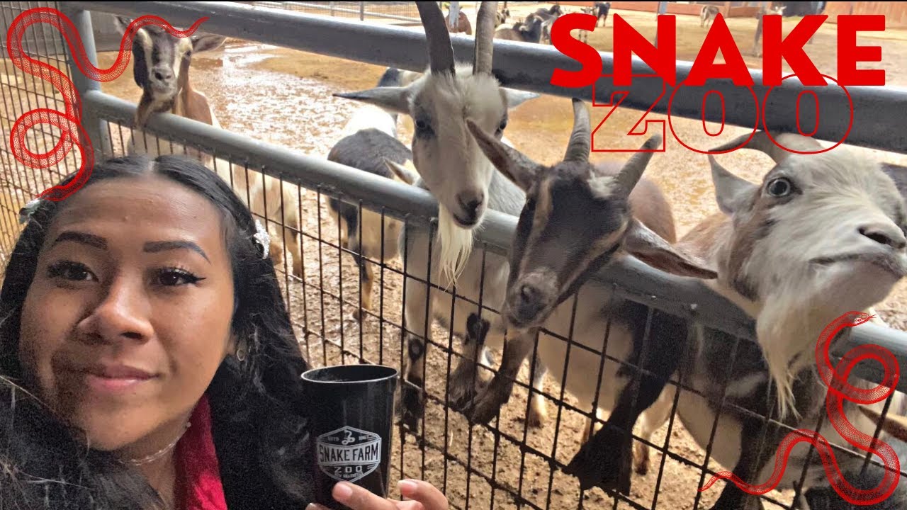 Animal World & Snake Farm Zoo in Texas! | Part 1 - YouTube