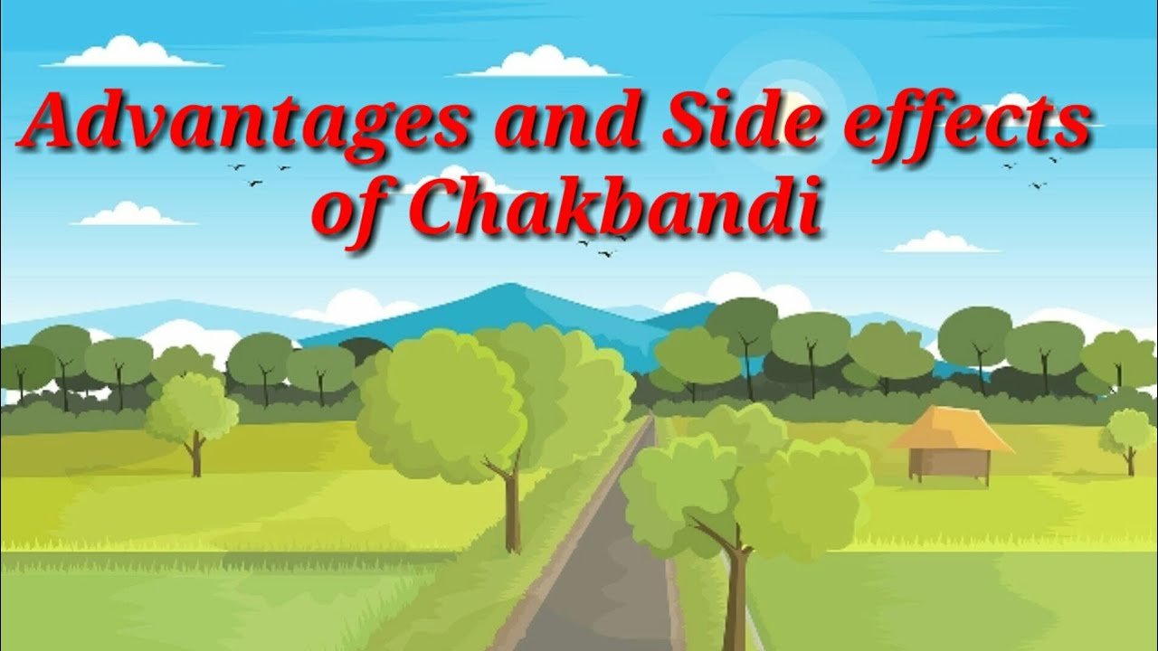 Advantages of chakbandi and its side effects# चकबंदी के लाभ एवं ...