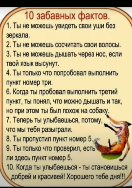 забавные факты - YouTube