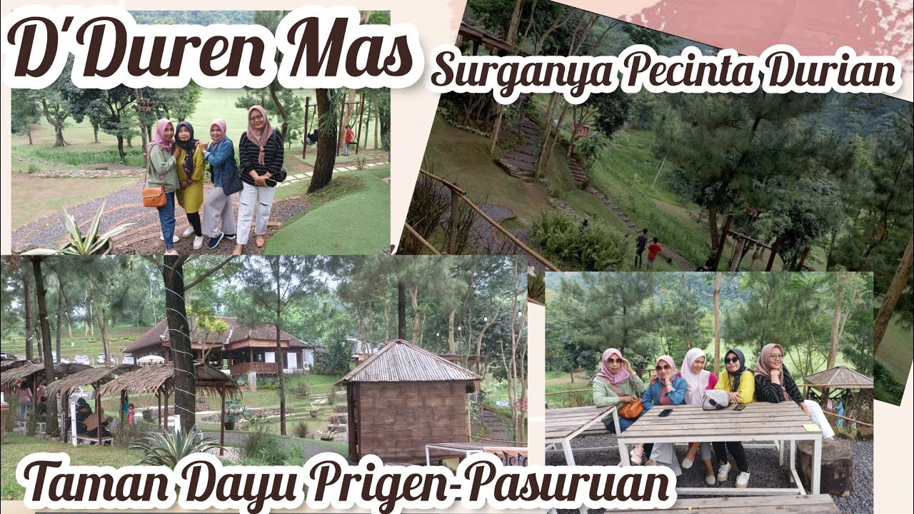 D'Duren Mas Taman Dayu ‼️Surganya Pecinta Duren - YouTube