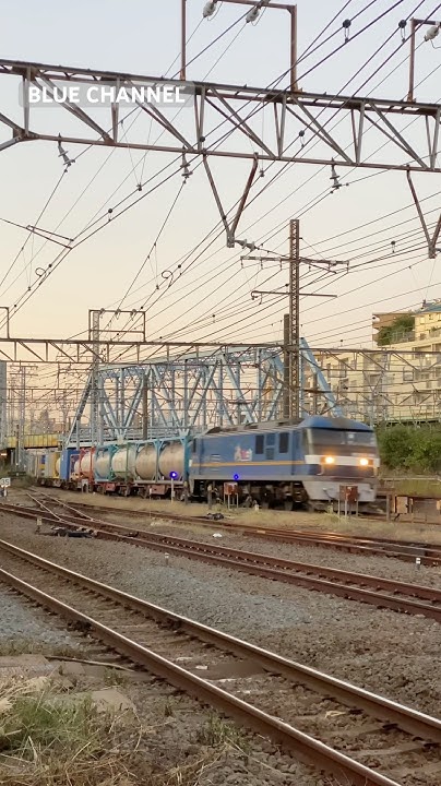 (貨物列車) 2024/11/13 5054レ EF210-340 + コキ19B (福岡タ〜東京タ) #Shorts - YouTube