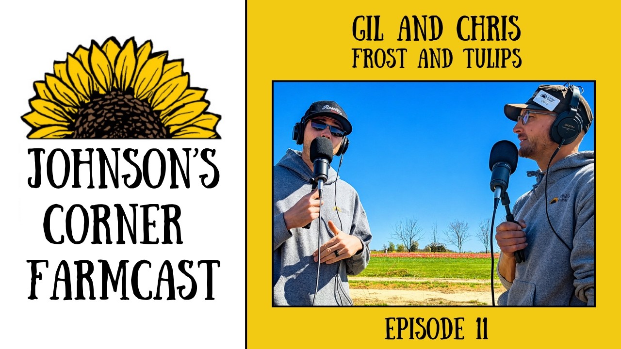 Gil and Chris: Frost and Tulips (Episode 11) - YouTube