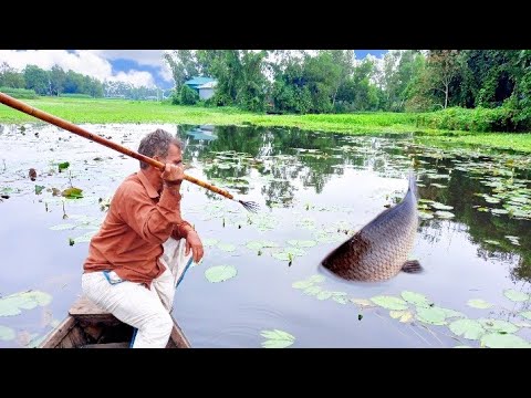 Katal fishing with Teta - YouTube