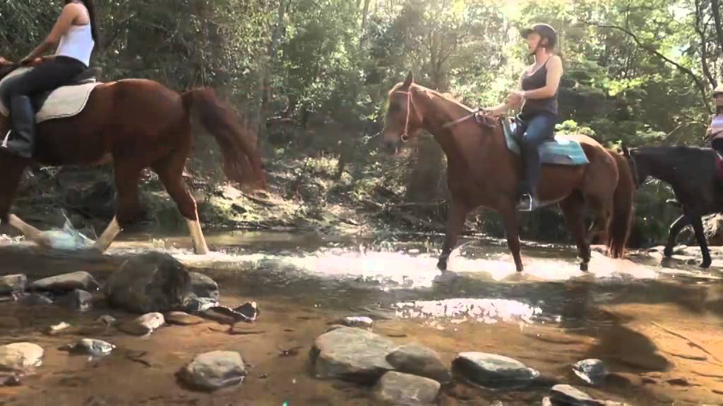 horse riding - Otford Otford Farm Trail Rides - YouTube