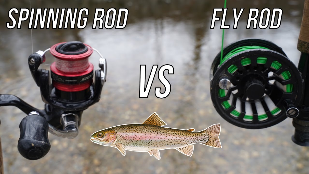 Fly vs Spinning Rod Trout Fishing Challenge! (SUPER CLOSE) - YouTube