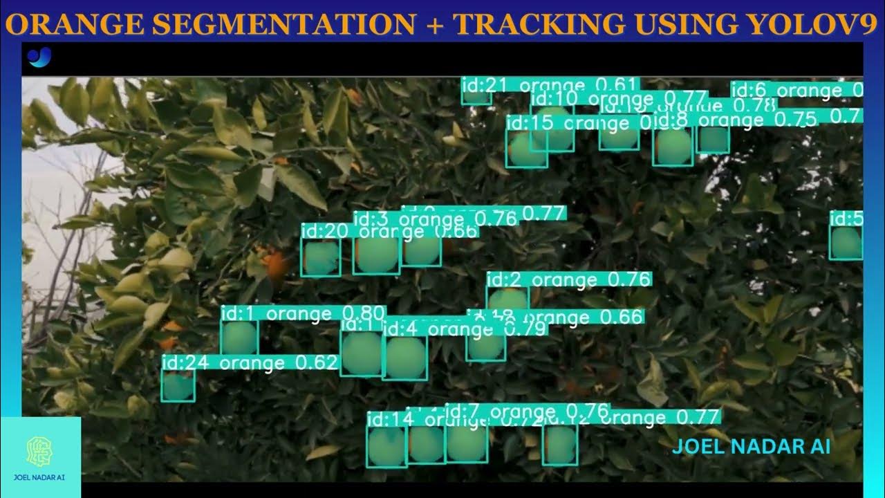 Orange Segmentation + Tracking using YOLOv9 - YouTube