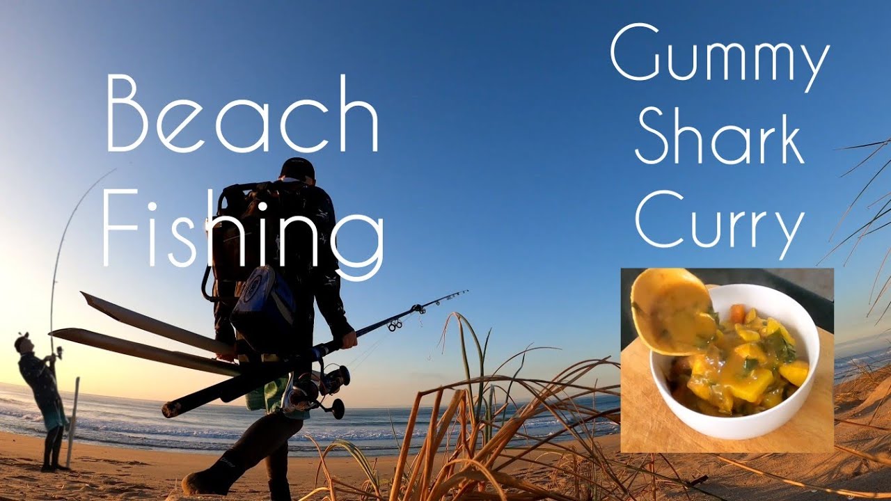 Gummy Shark on a $3 Whiting Rig. Catch & Cook Fish Curry. ep131 - YouTube