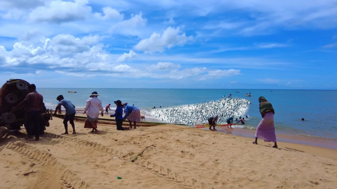 2 Ton Big Fish Catch | This is How Fisherman Catch Tons Of FIsh - YouTube