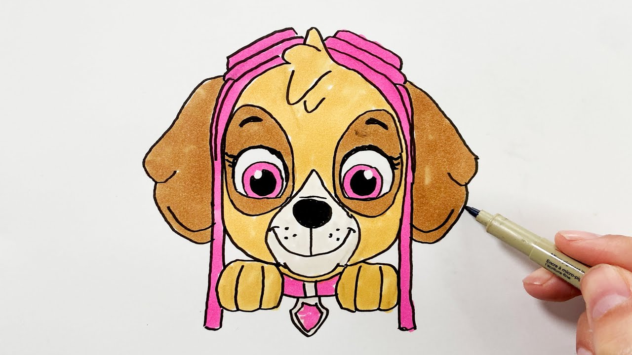How to Draw Skye From Paw Patrol - YouTube