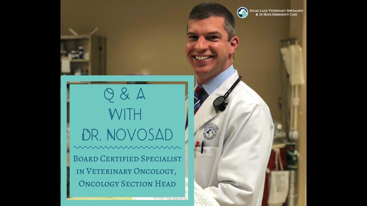 Dr. Novosad Q&A - YouTube