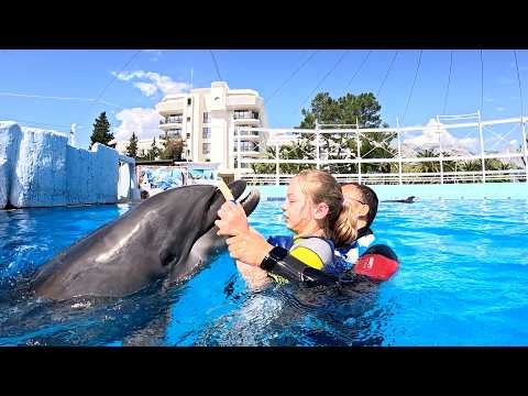 Delphin Therapie Türkei ( Liana )