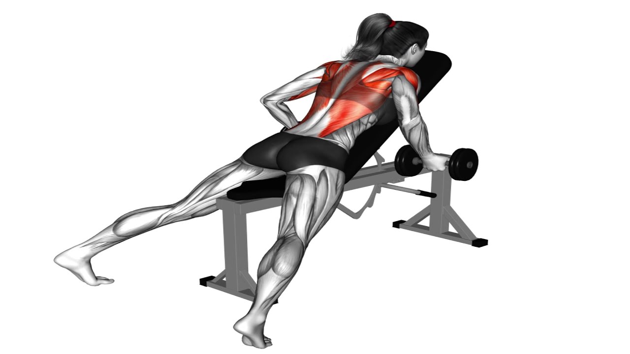 BACK WORKOUT - upper back, lower back, lats & neck / Equipment - YouTube