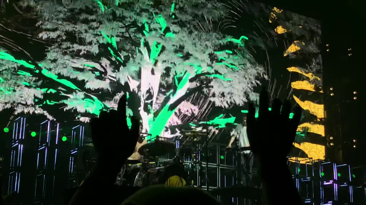 TWENTY ONE PILOTS LIVE (Trees) - YouTube