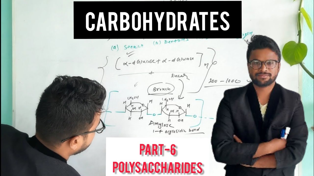 CARBOHYDRATES PART 6 POLYSACCHARIDES Hindi And English The carbohydrates-part-6-polysaccharides-hindi-and-english-the