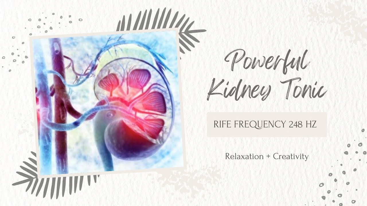 Powerful Kidney Tonic ~ Healing | Relaxation | Creativity | Rife ...