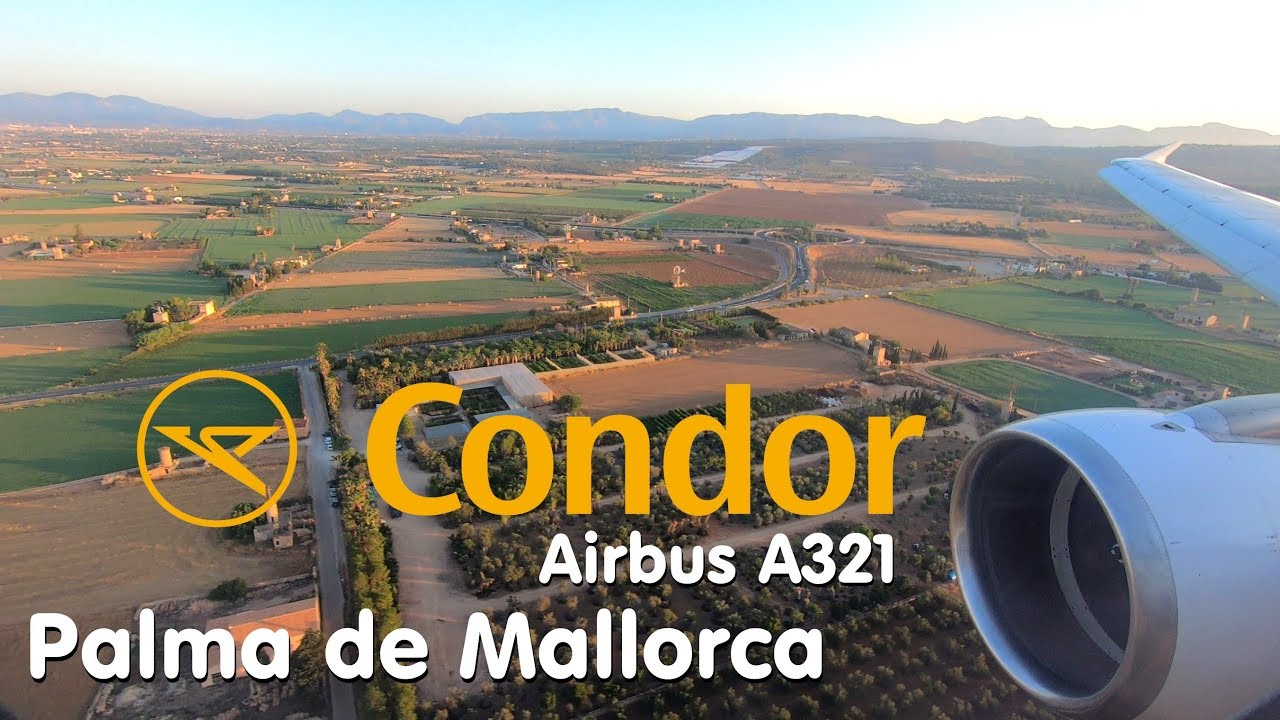 Sunrise Landing in Palma de Mallorca | Condor Airbus A321 - YouTube