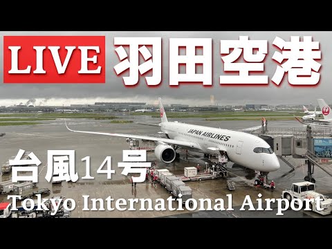 羽田空港JALライブ台風接近 Tokyo International Airport(HANEDA) Typhoon LIVE(2022/9/18) - YouTube