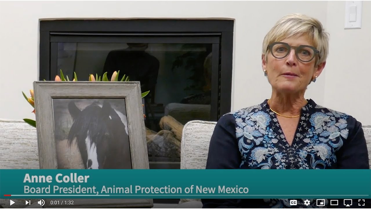 APNM Animals & Architecture 2020: A Message from Anne Coller - YouTube