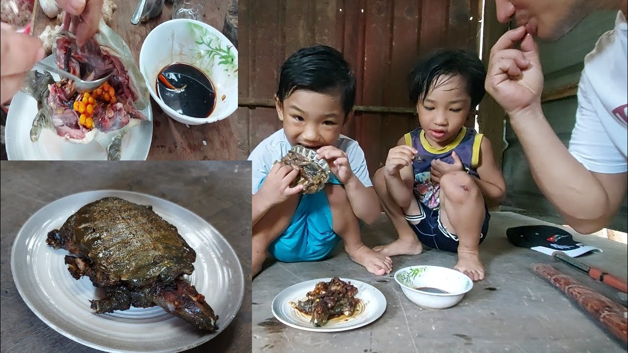 poor family eating snake turtle || soft turtle shell and duck adobo ...
