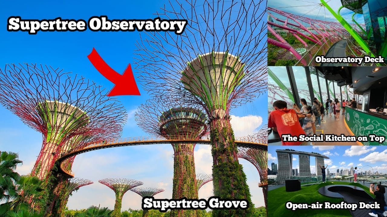 Supertree Observatory - Singapore (Garden Rhapsody) at night | Gardens ...